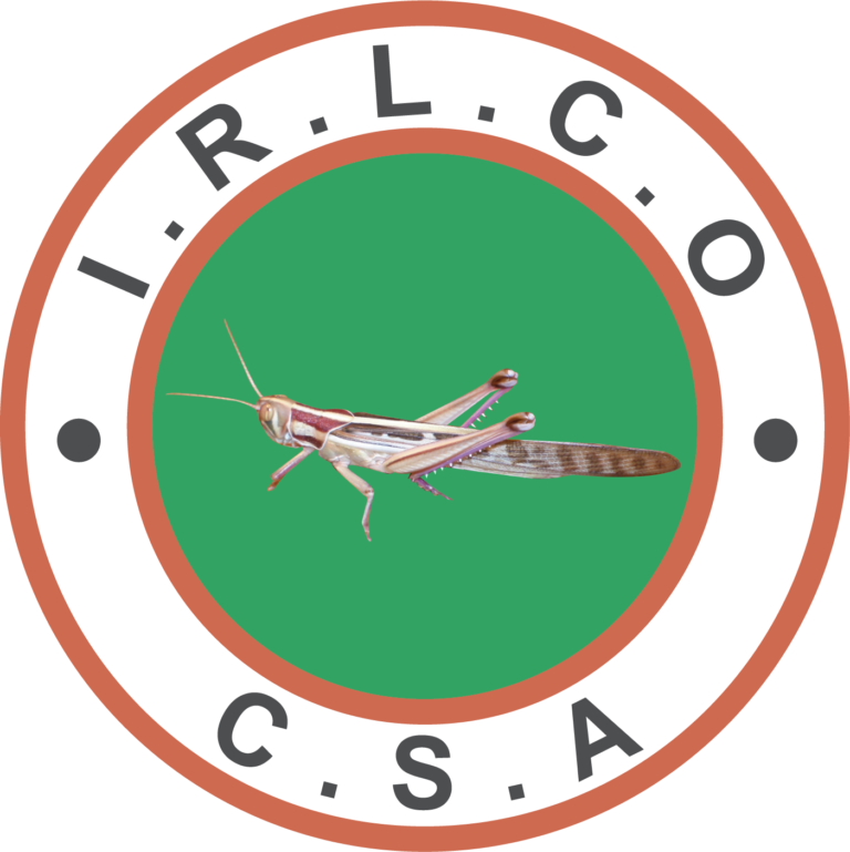 Quelea Birds - RedLocust